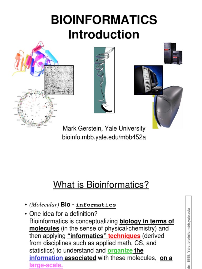 Bioinformatics: Mark Gerstein, Yale University Bioinfo - Mbb.yale - Edu ...