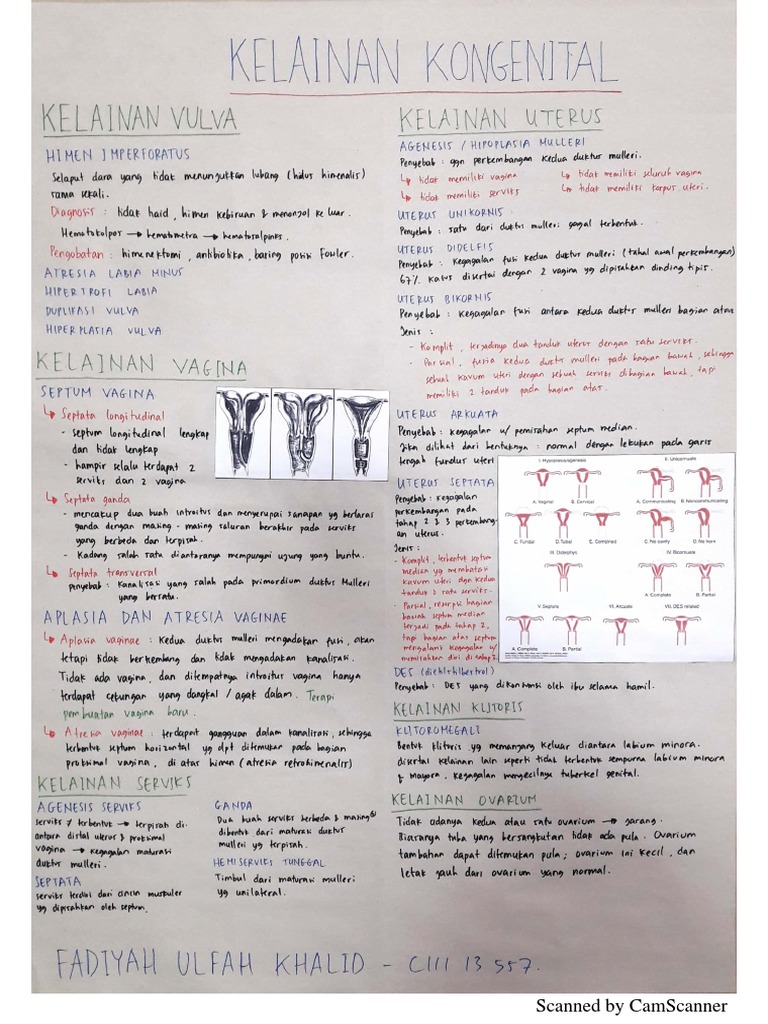 Mind Map Ulfah | PDF