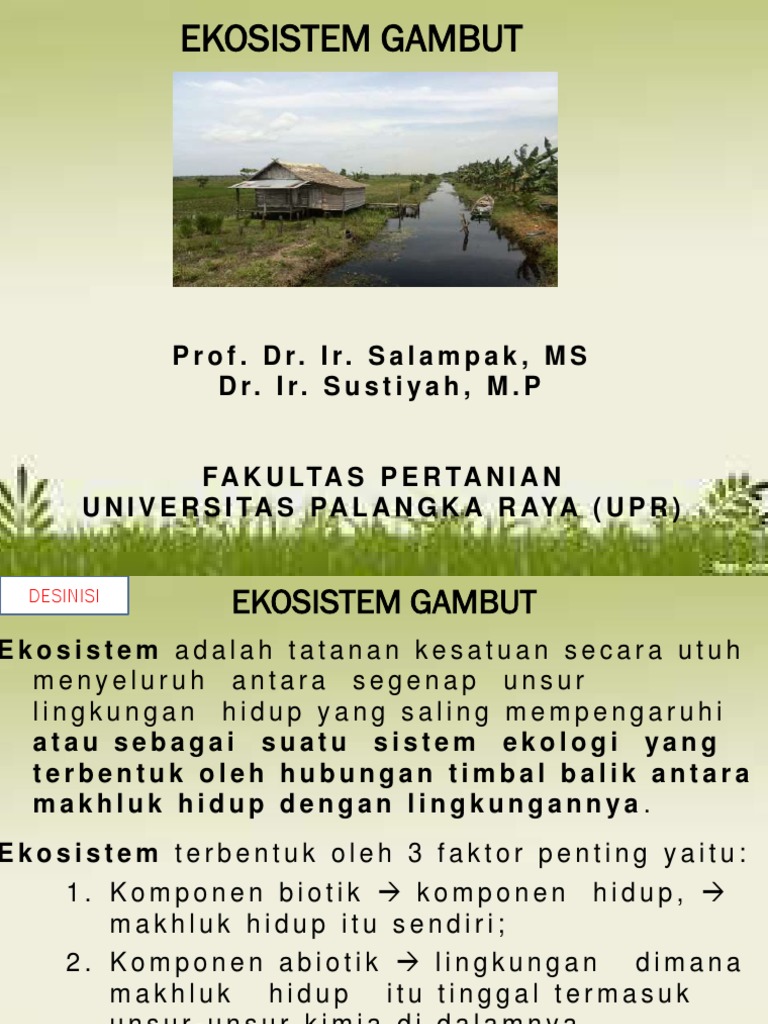 Peran dan Fungsi Ekosistem Gambut | PDF