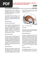 Radial Free Forearm Flap - RFFF - Surgical Technique | PDF