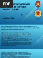 Police Patrol Operation | PDF | Patrol | Police