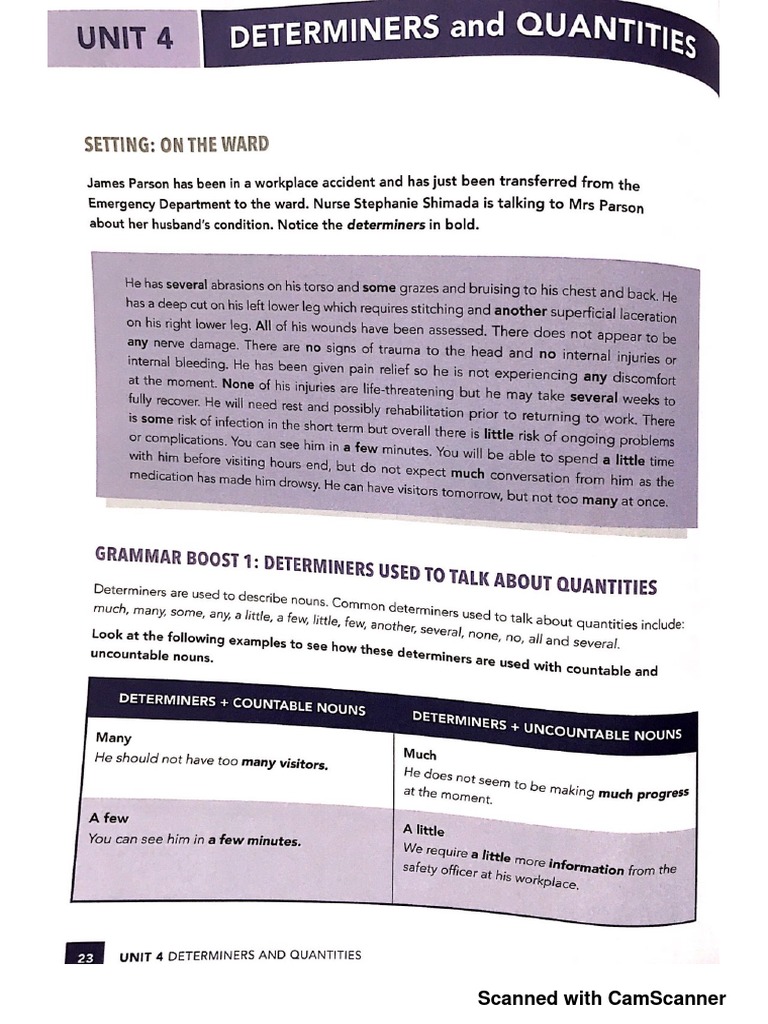 Determiners For Class | PDF