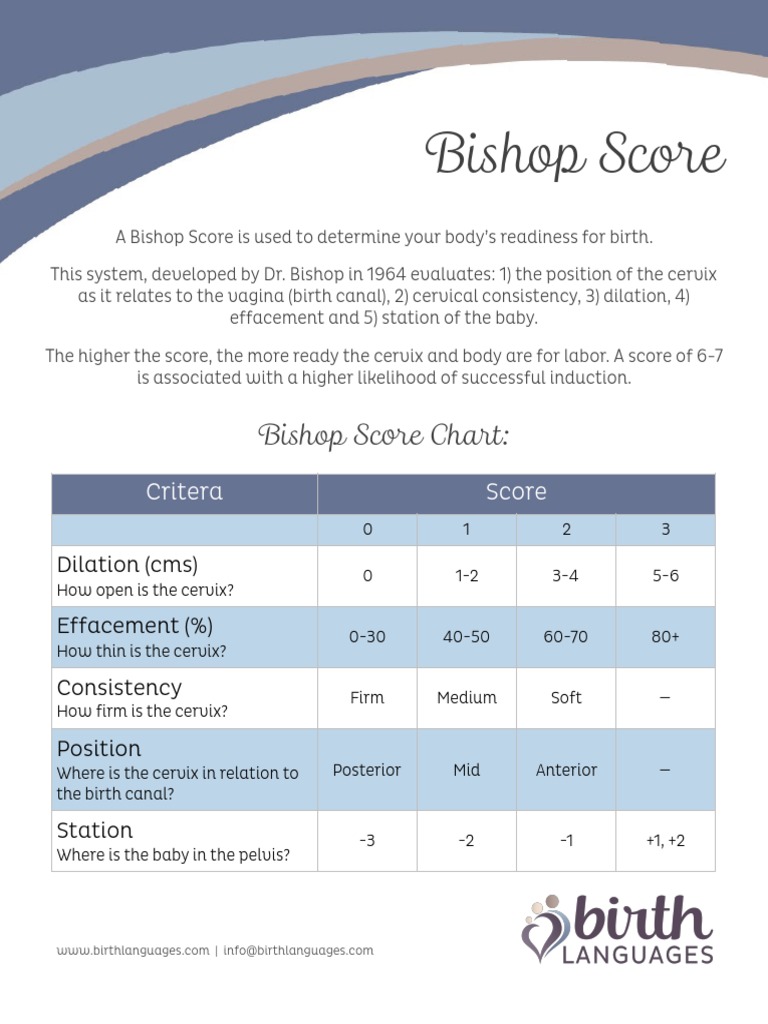 Understanding the Bishop Score | PDF