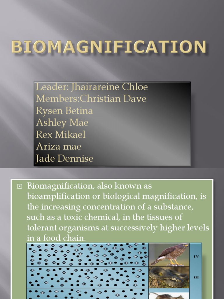 Bio Magnification | PDF | Environmental Issues | Ecology
