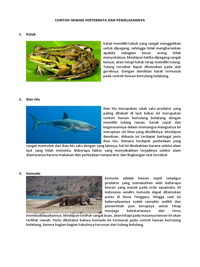 Contoh Hewan Vertebrata Dan Penjelasannya | PDF