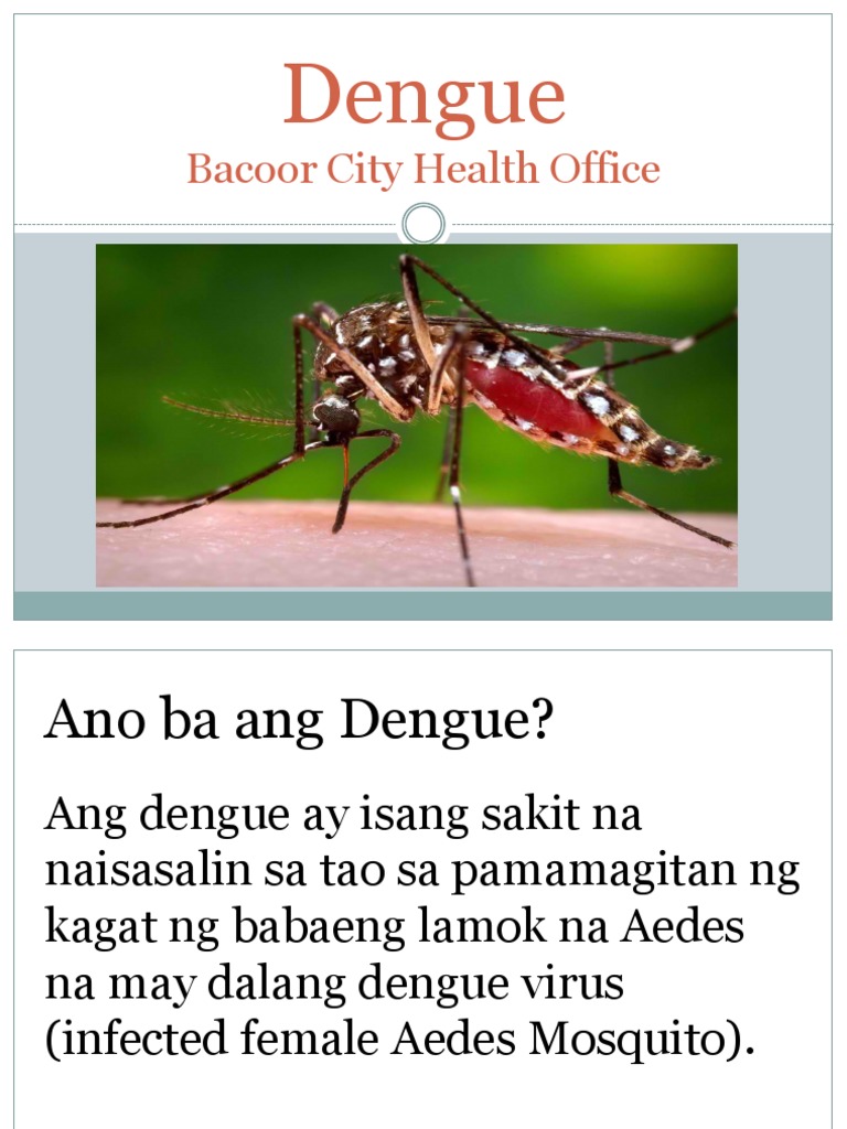 Dengue Lecture2 | PDF