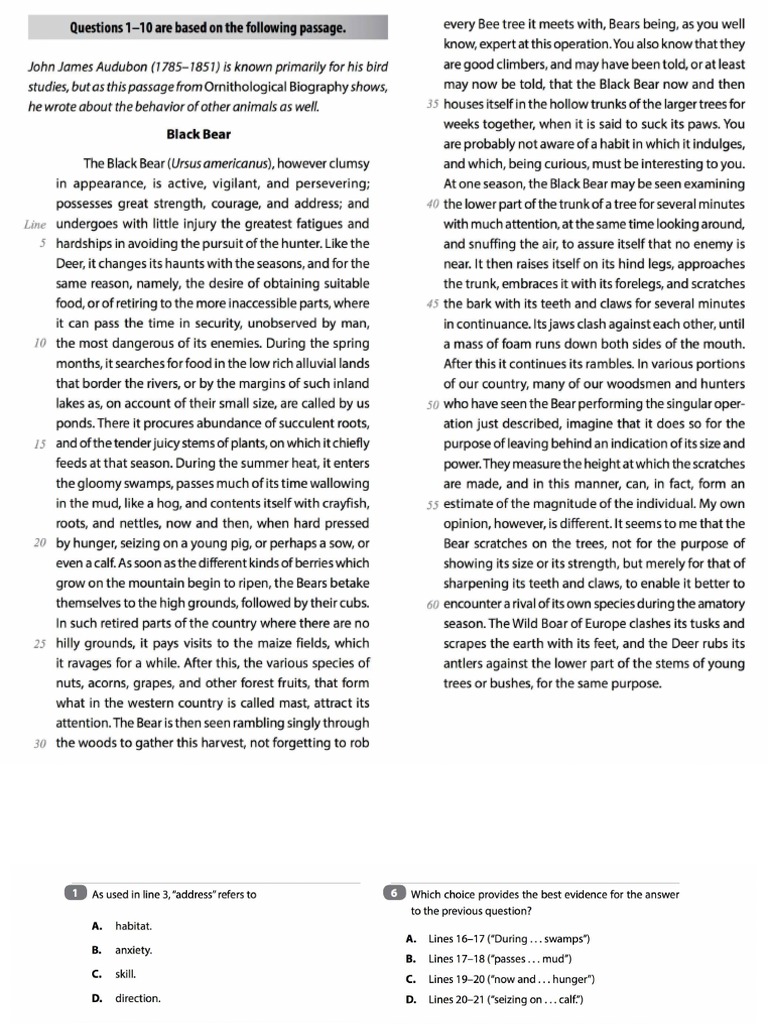 Reading Practice Year 9 | PDF