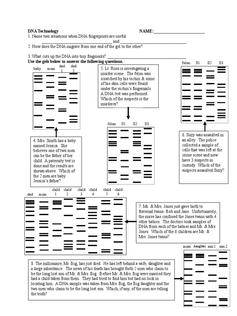 DNA Technology and Genetic Analysis | PDF | Gene | Plasmid
