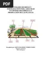 Procesos Fisiológicos de La Planta | PDF