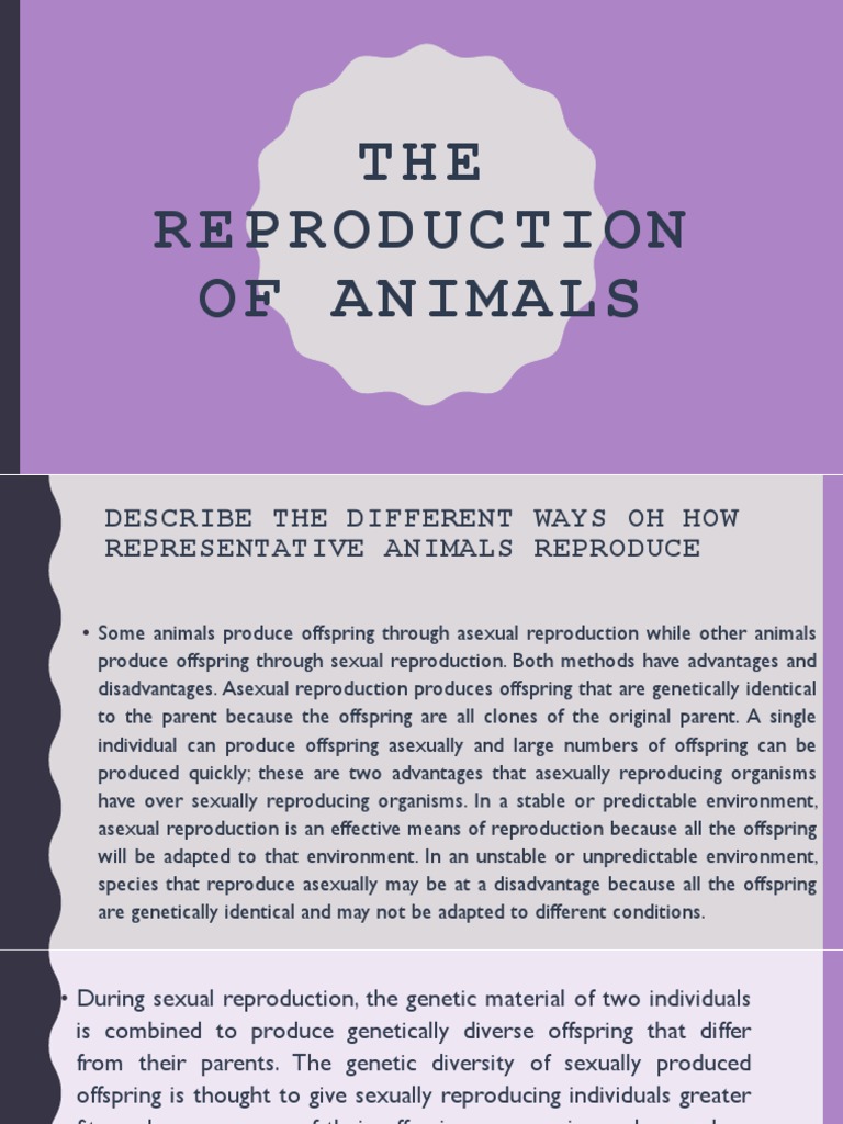 Animal Reproduction Methods Explained | PDF | Sex | Reproduction