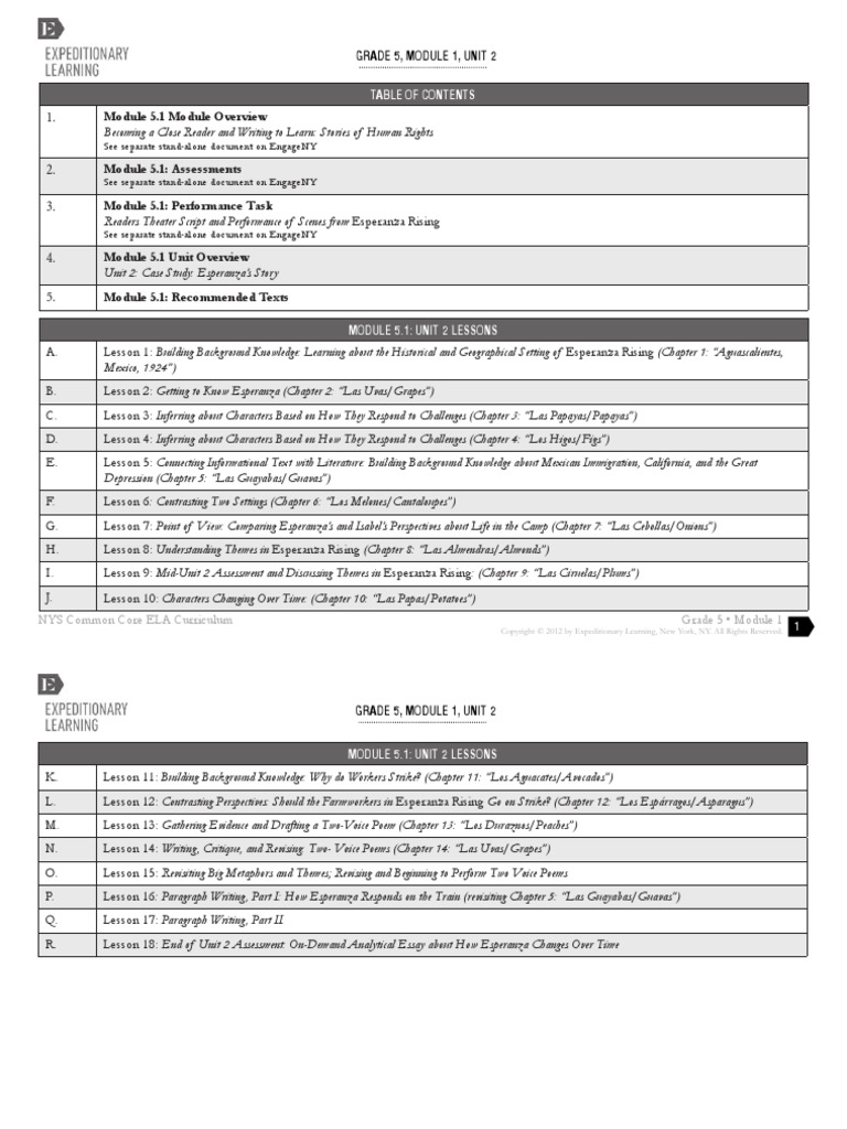 5m1 2 PDF | PDF | Reading Comprehension | Curriculum