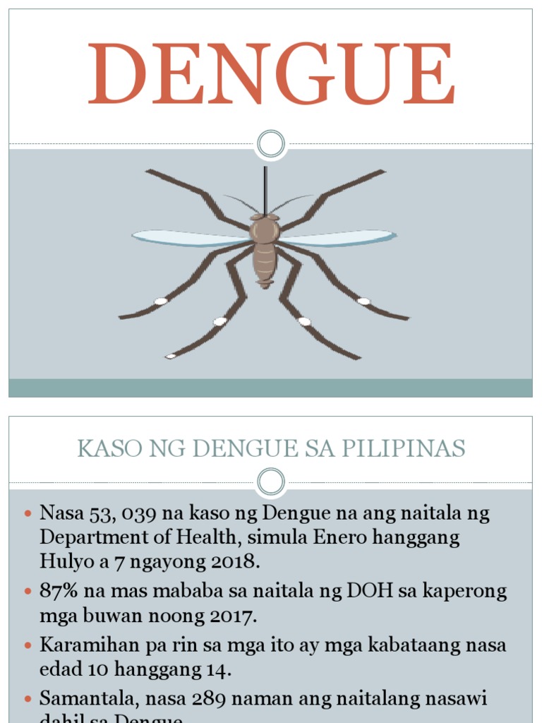 Dengue Lecture | PDF