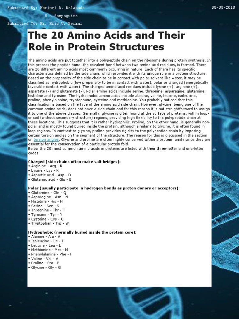 The 20 Amino Acids and Their Role in Protein Structures: Torsion Angles ...