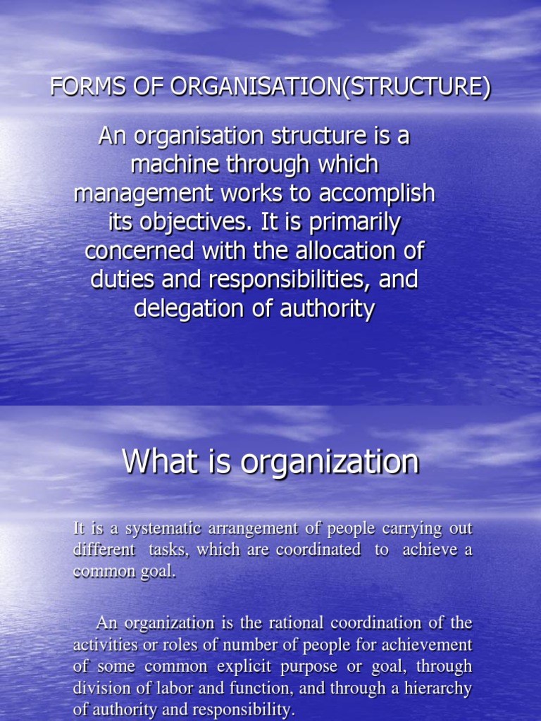 Forms of Organizations (Based On Structure) | PDF | Expert | Division ...