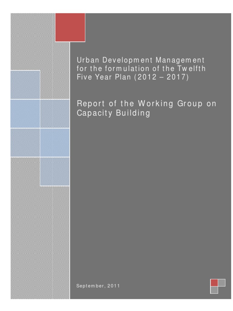 Report On Capacity Building | PDF | Capacity Building | International ...