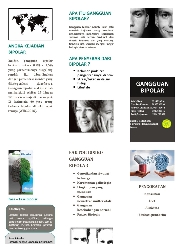 Leaflet Bipolar | PDF