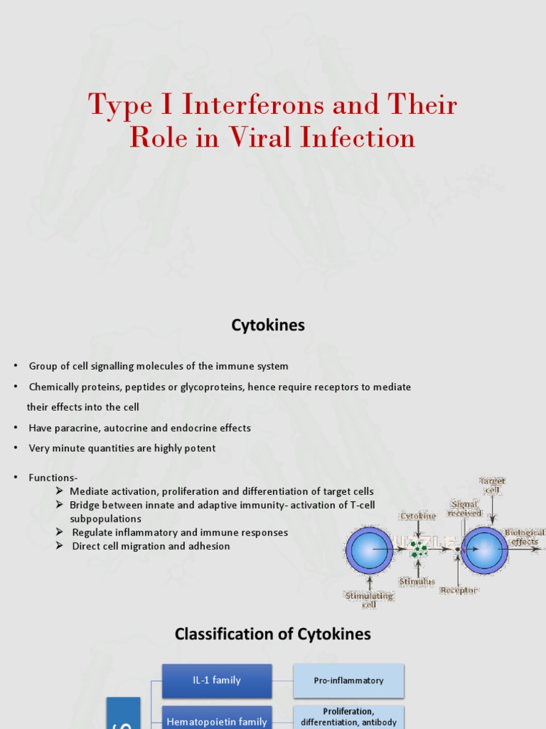Type I Interferons and Their Role in Viral Infection | PDF | Interferon ...