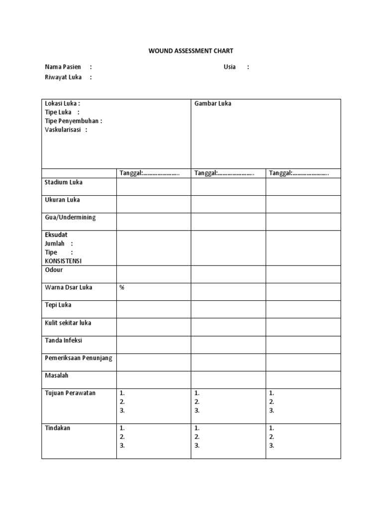 Wound Assessment Chart | PDF