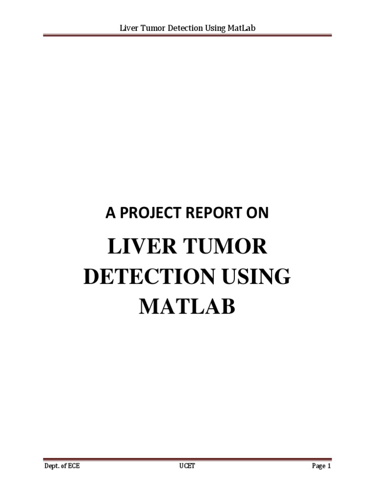 Liver Tumor Detection Using Matlab: A Project Report On | PDF | Digital Image | File Format