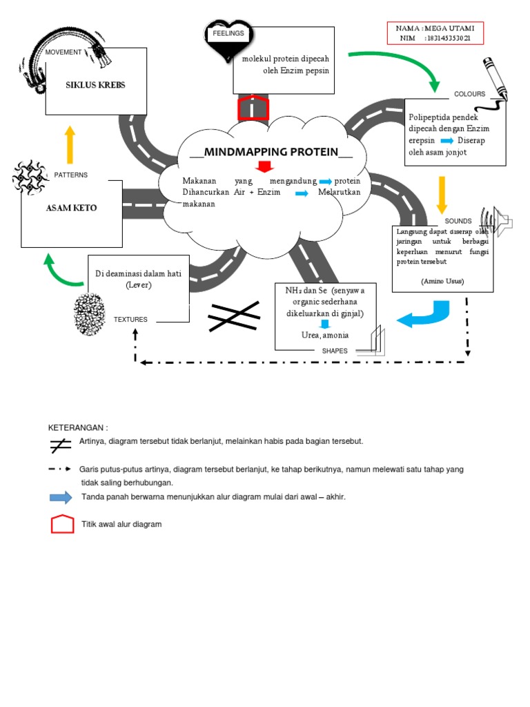 Mind Mapping Protein | PDF
