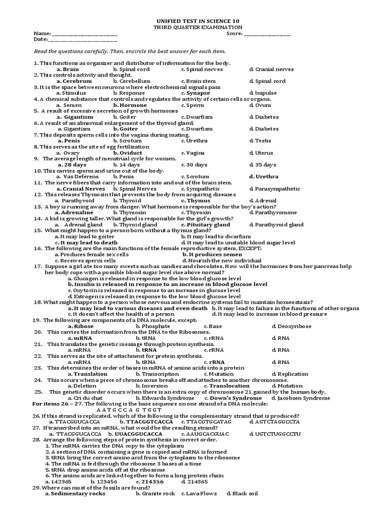 Science 10 3rd Quarter Exam | PDF | Messenger Rna | Ribosome