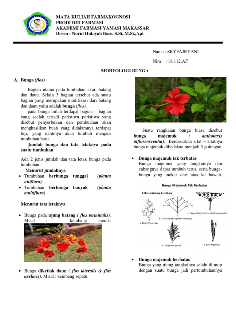 Morfologi BUNGA | PDF
