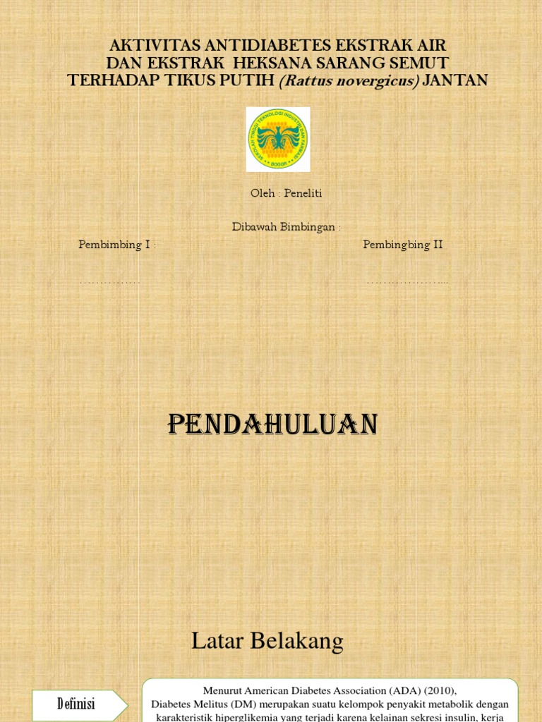 Contoh Presentasi - TA Eksperimental | PDF