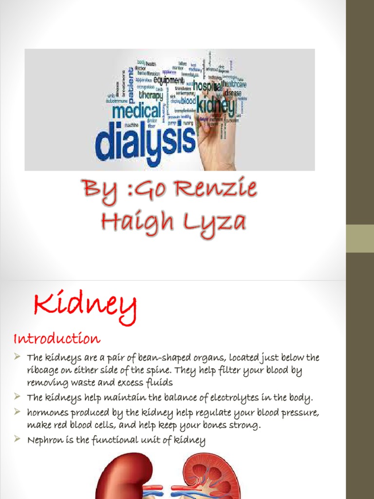 Dialysis Power Point | Download Free PDF | Dialysis | Renal Function
