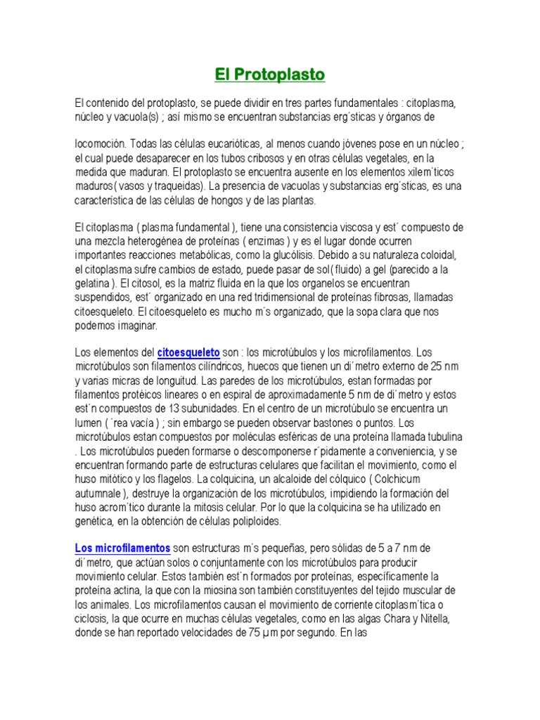 El Protoplasto | PDF | Nucleo celular | Citoplasma