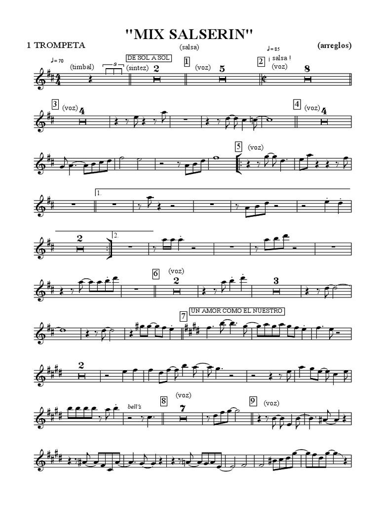 Mix Salserin-Gran Orquesta | PDF | Violencia | Ocio