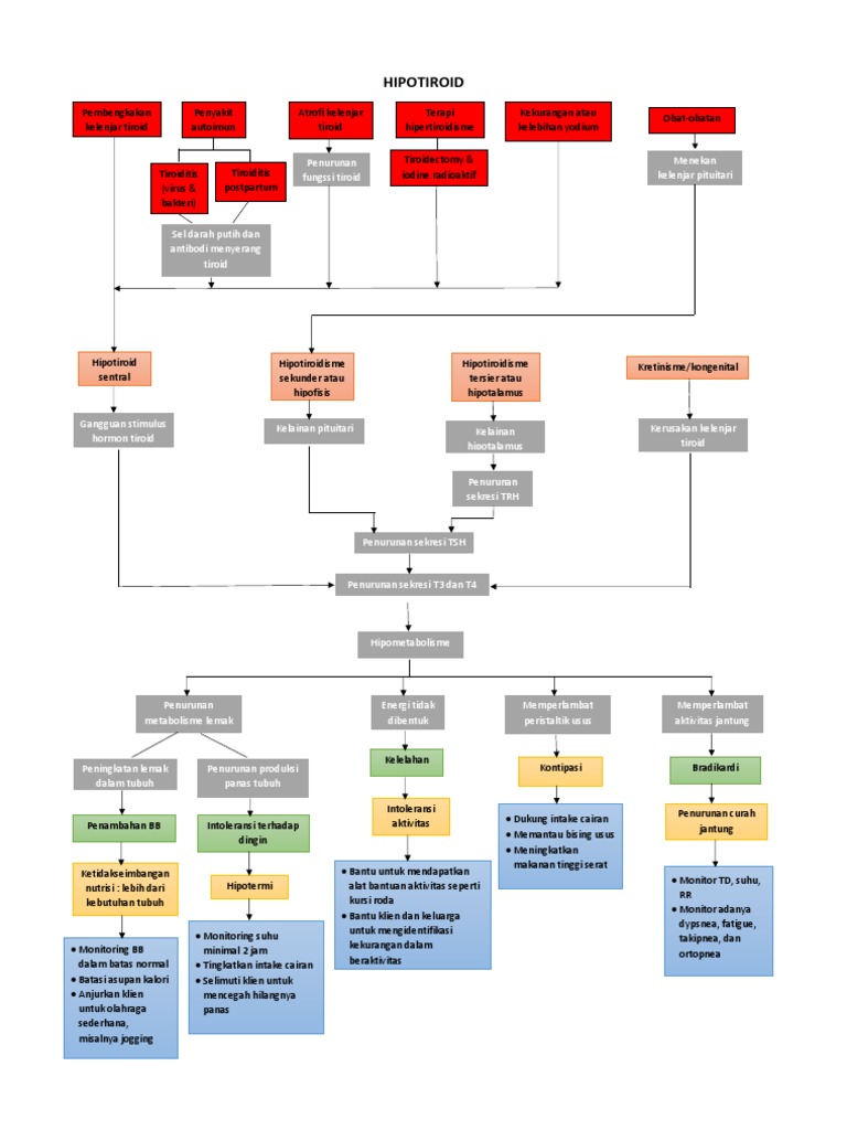 Hipotiroid & Hipertiroid | PDF