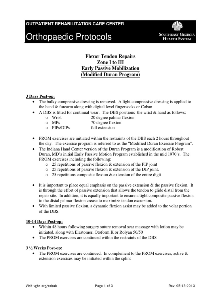 Modified Duran Protocol for Flexor Repair | PDF | Hand | Anatomical ...