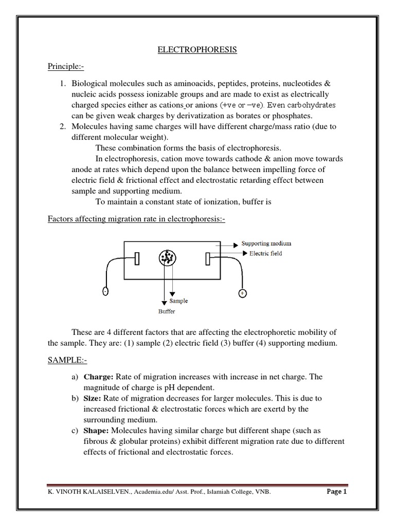 Electrophoresis Factor Affecting PDF | PDF | Gel Electrophoresis | Ion