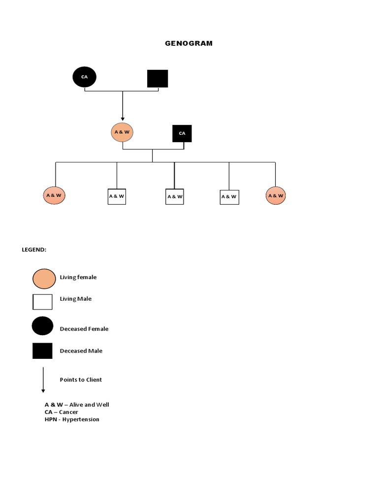 Genogram: Living Female | PDF
