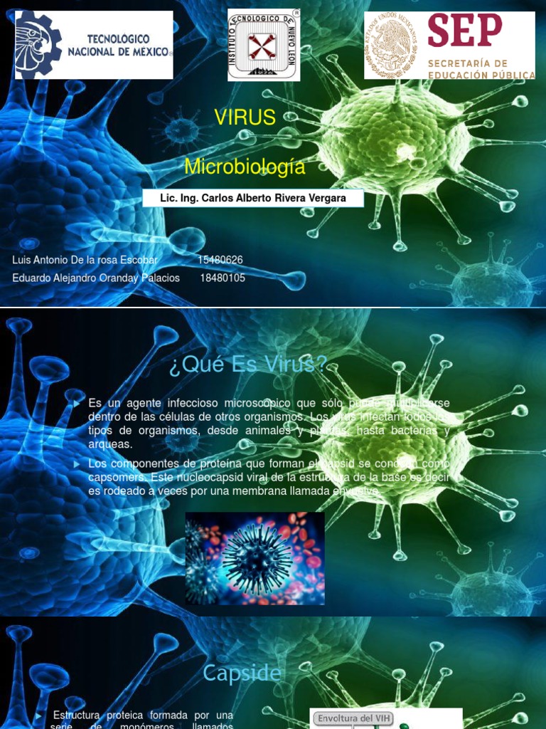 Virus | PDF | Virus | Biología Celular)