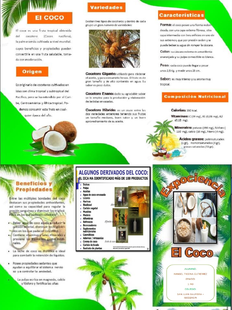Derivados Del Coco Triptico | PDF