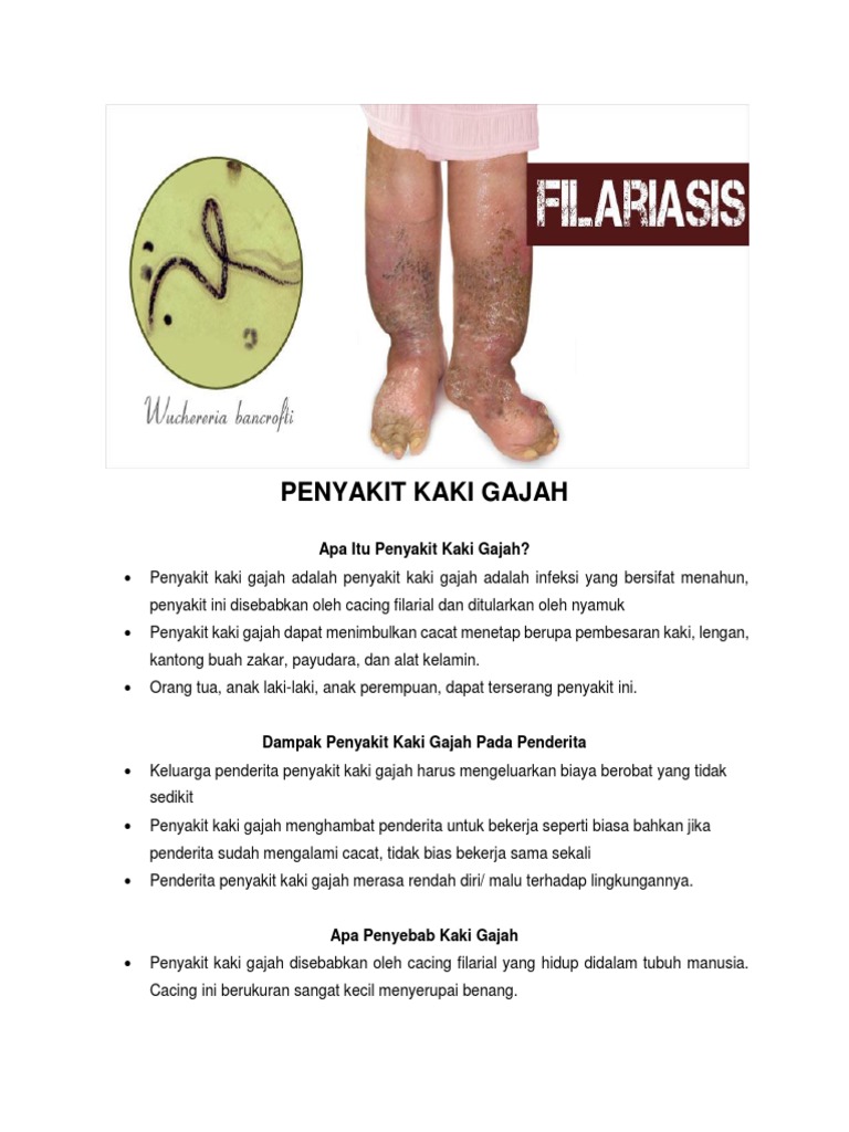 Penyakit Kaki Gajah | PDF
