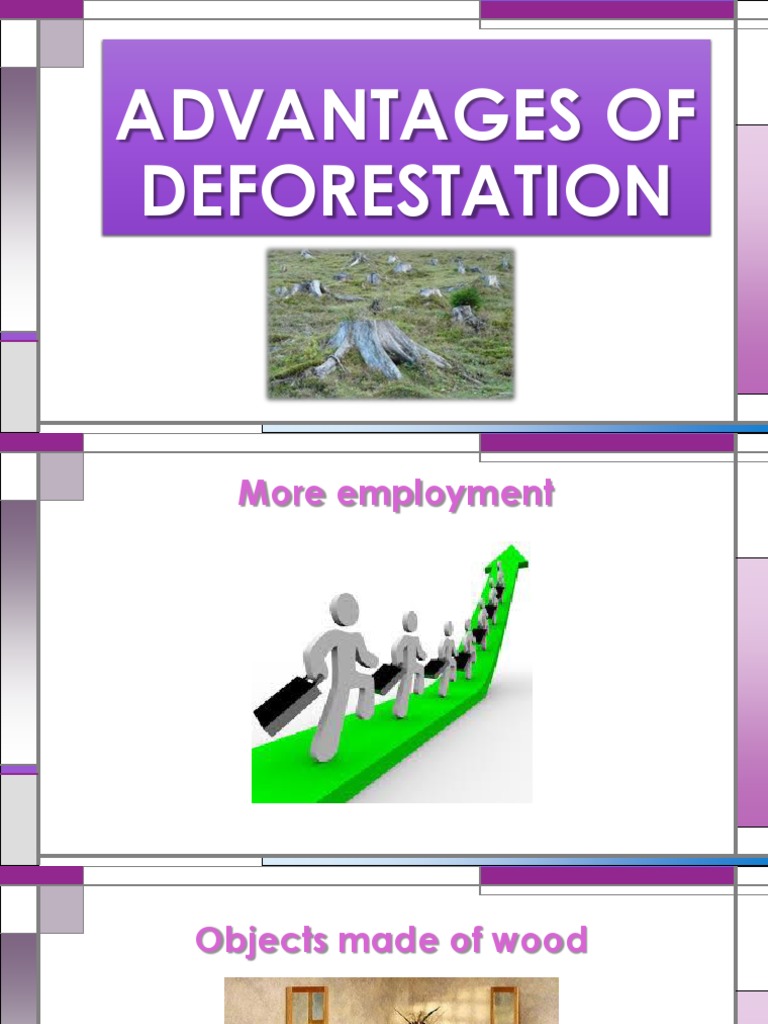 Advantages of Deforestation | PDF