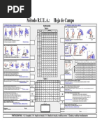 Hoja de Campo RULA | PDF