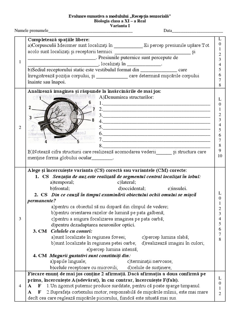 Evaluare Sumativa Analizatori 2019 | PDF