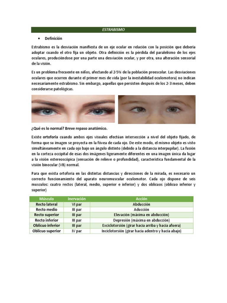 Estrabismo | PDF | Percepción visual | Sistema nervioso