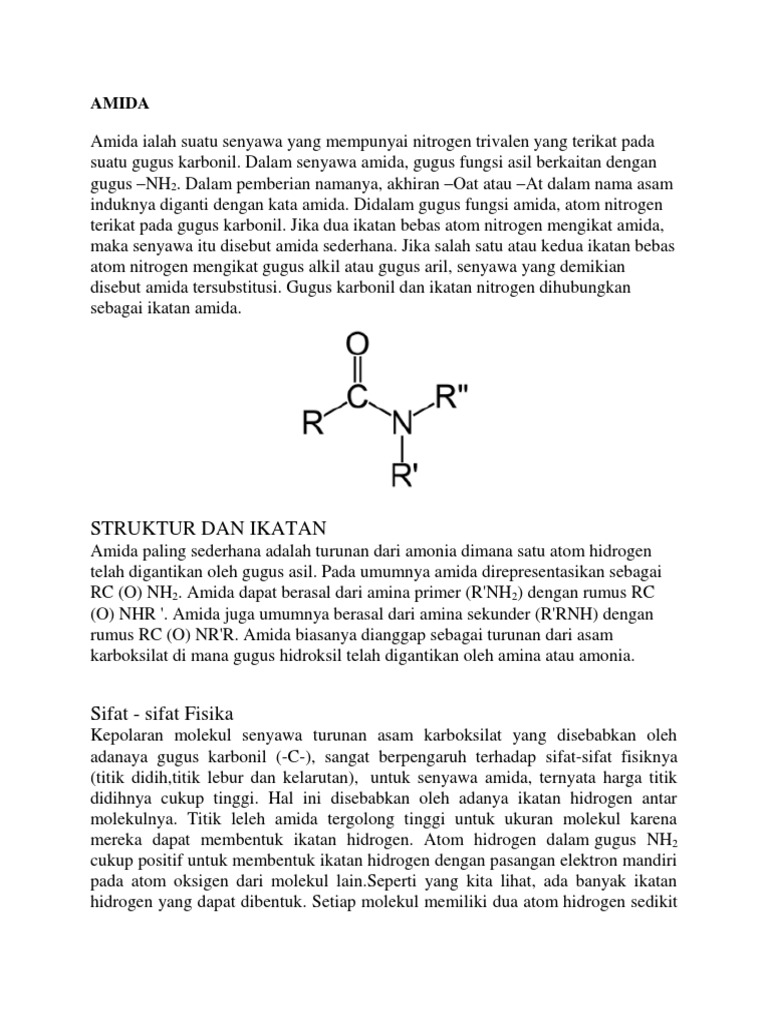 Amida | PDF | Sains & Matematika
