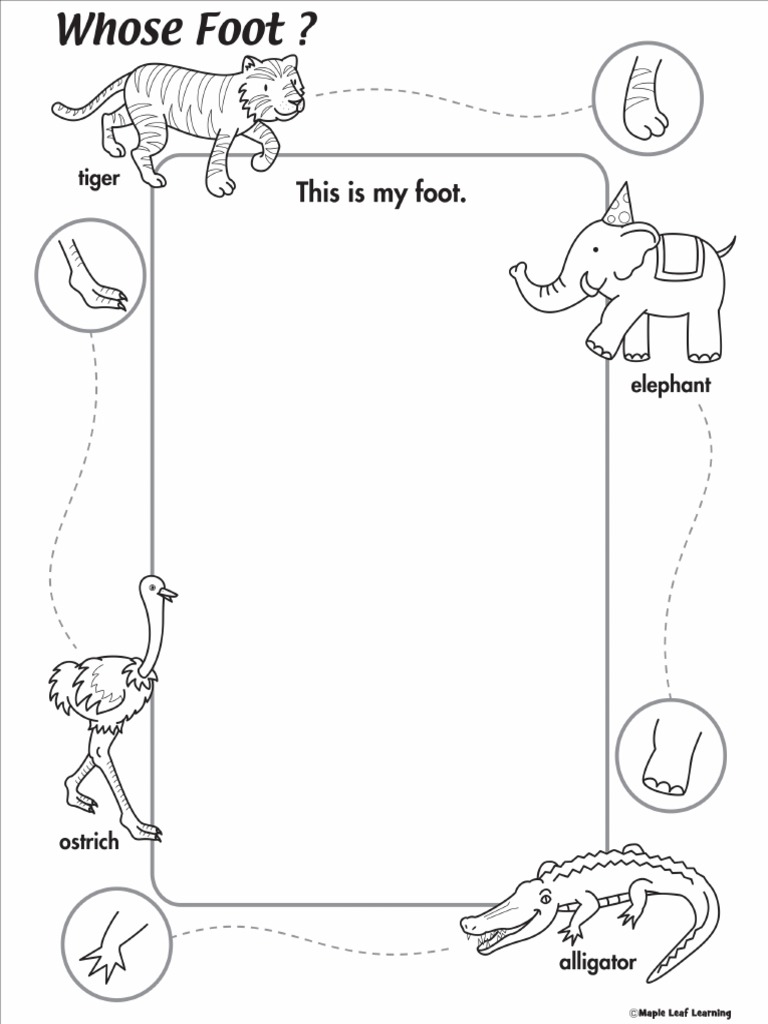Whose Foot Worksheet | PDF