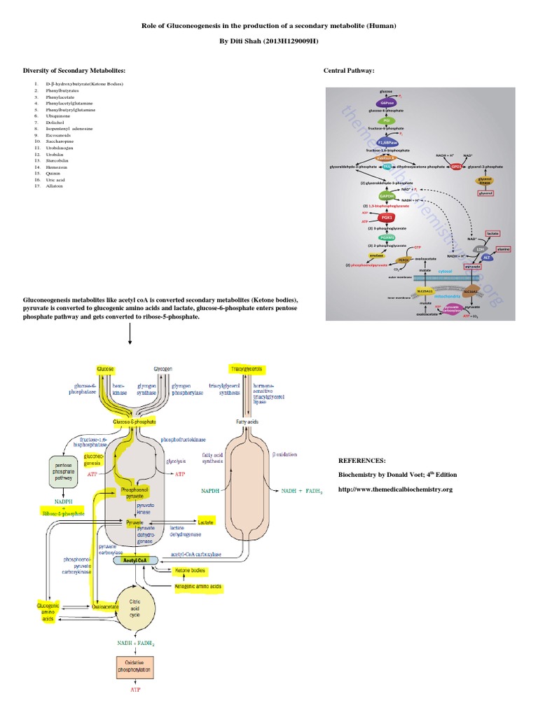 Paper on different biochemical pathways