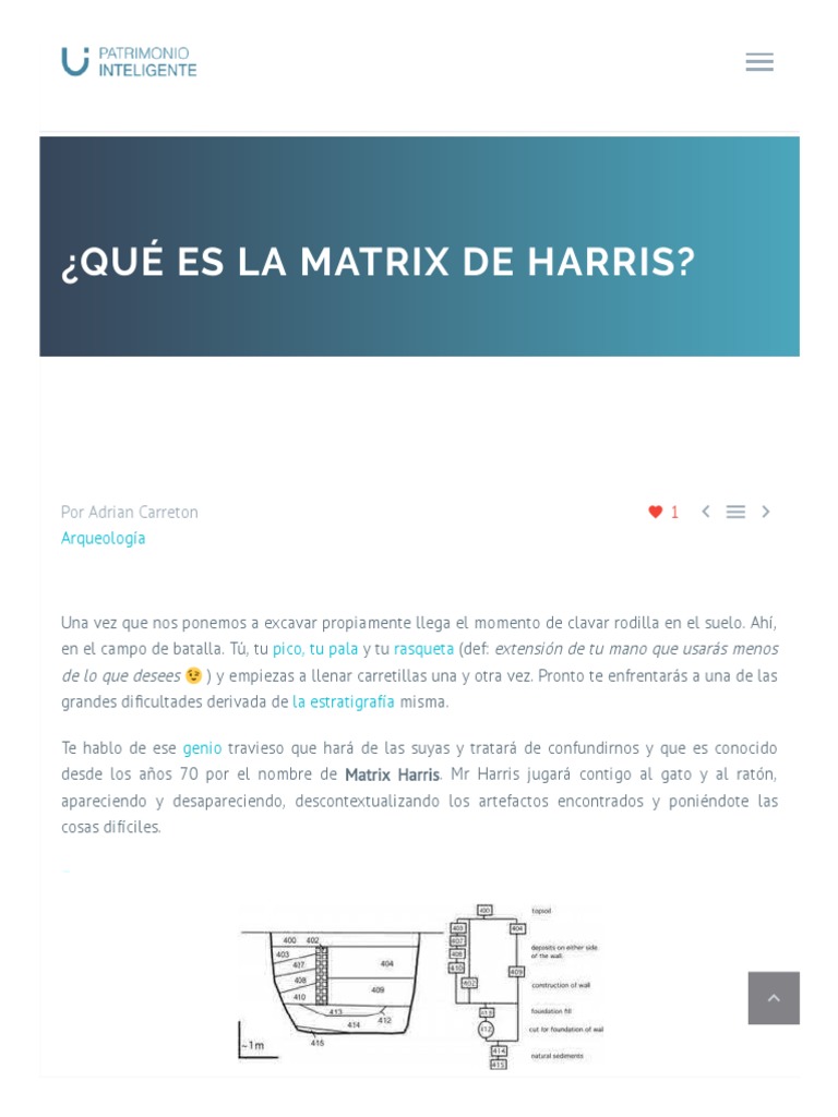 ¿Qué Es La Matrix De Harris?: Por Adrian Carreton | Excavación ...