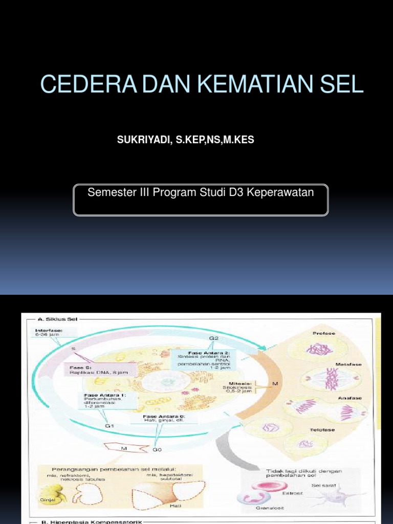 Cedera Sel | PDF