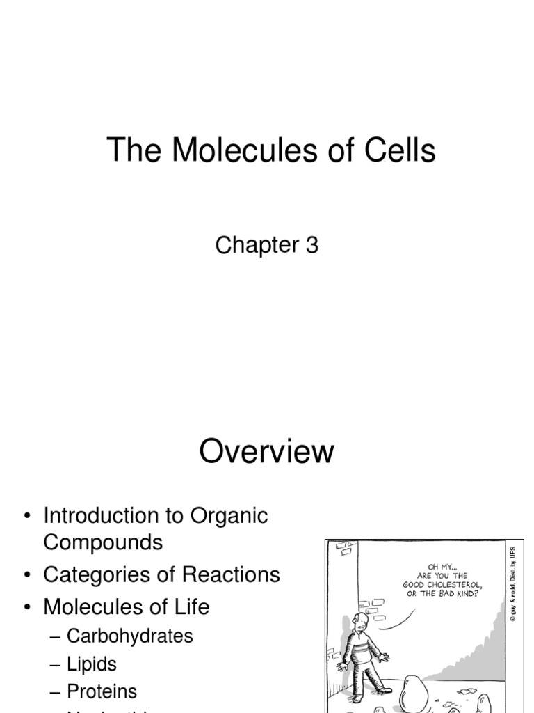 Molecules of Cells | Download Free PDF | Carbohydrates | Polysaccharide