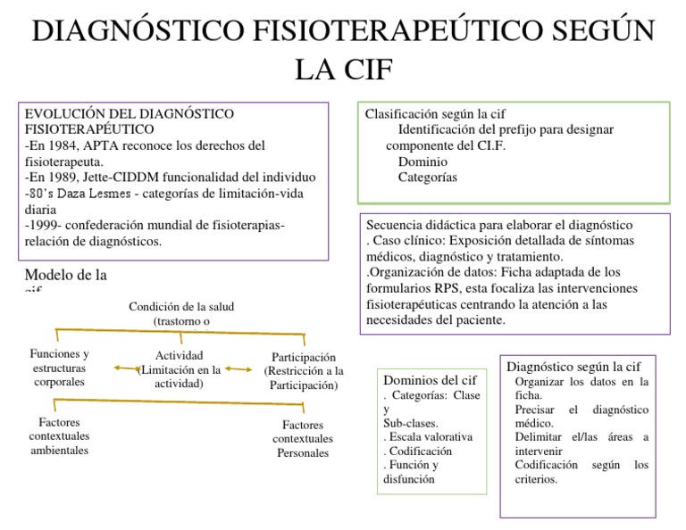 Diagnóstico Fisioterapeútico Según La Cif | PDF