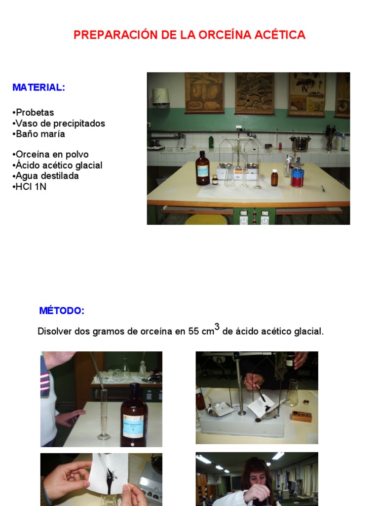 Preparación de Orceína Acética | PDF