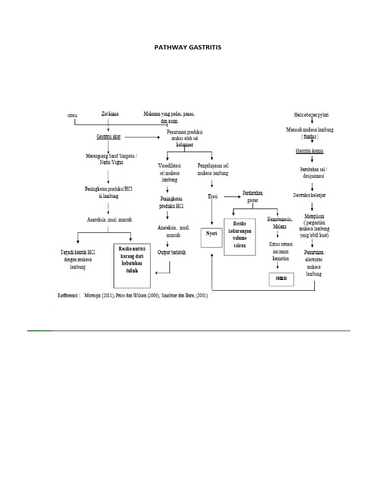 Pathway | PDF